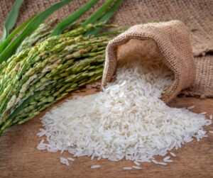Can Rice Be Composted? Here’s Everything You Need to Know | Garden ...